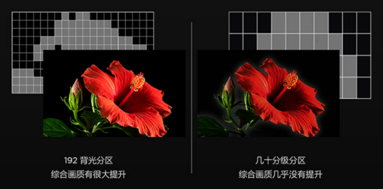 TGA夏季总决赛激战正酣 TCL C11助力电视云游戏风暴席卷今夏_游戏频道_中华网